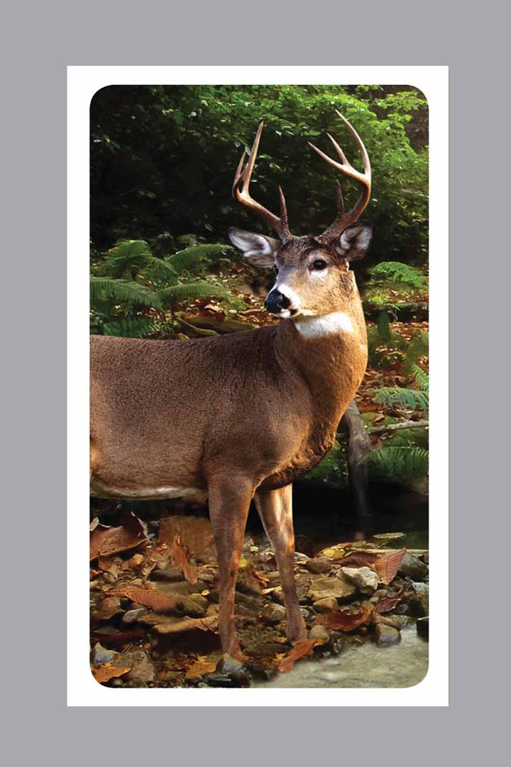 Forest Retreat Prayer Card – Regal Line